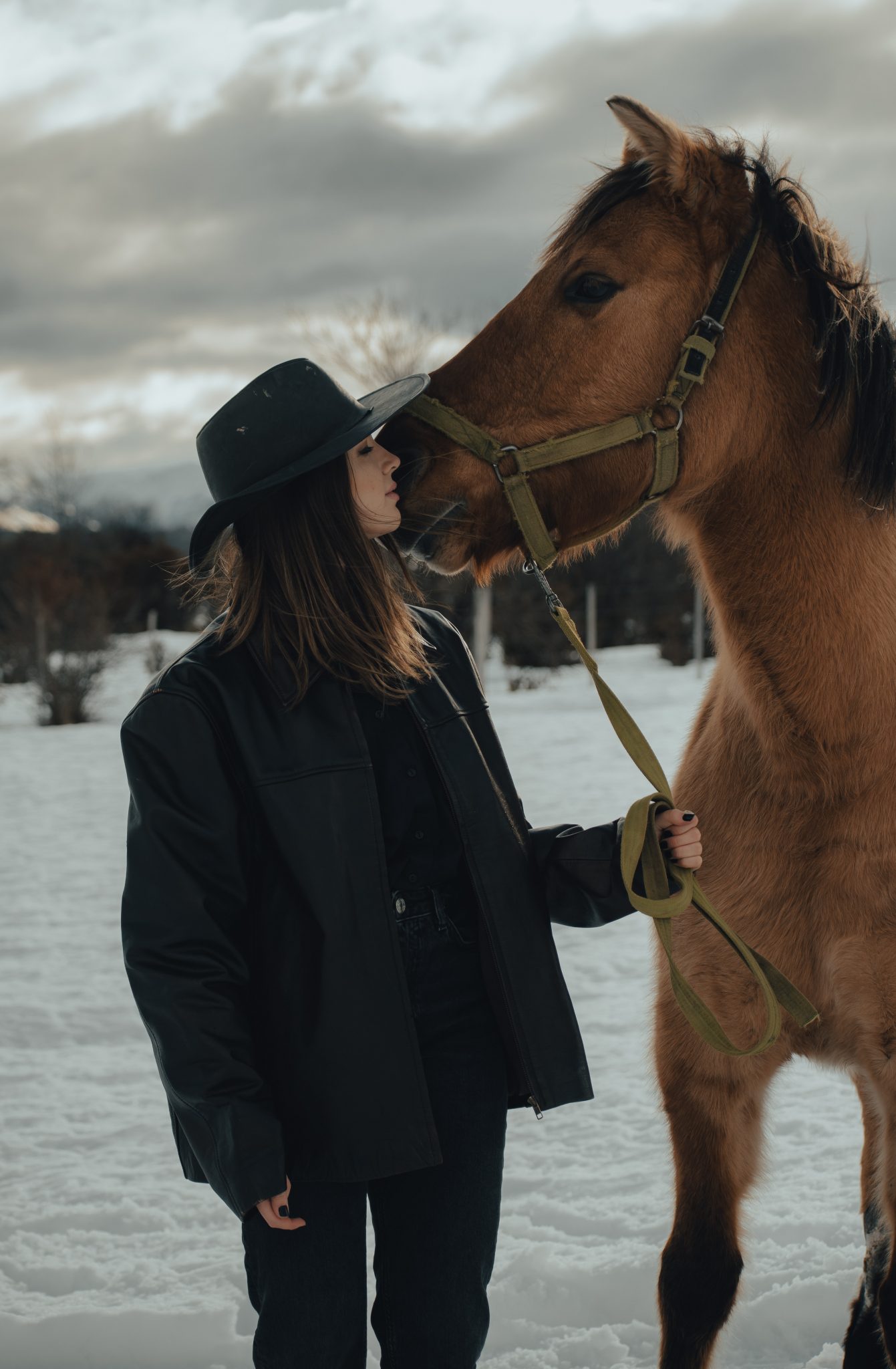 How To Market Your Equestrian Stable – 4 Effective Tactics - Stablebuzz